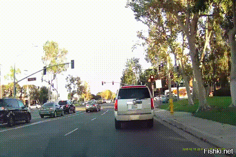 Гифки дня от BuzzSumo за 09 марта 2016 на Fishki.net