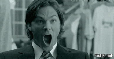 Гифки дня от BuzzSumo за 09 марта 2016 на Fishki.net