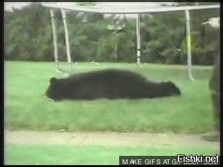 Гифки дня от Button за 17 мая 2016 на Fishki.net